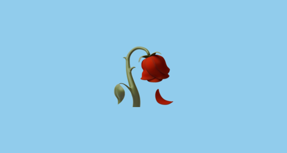 🥀 Wilted Flower Emoji on Apple iOS 13.2