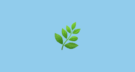 🌿 Pianta Emoji on Apple iOS 13.3