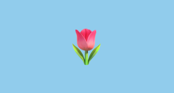 🌷 Tulip Emoji on Apple iOS 13.3