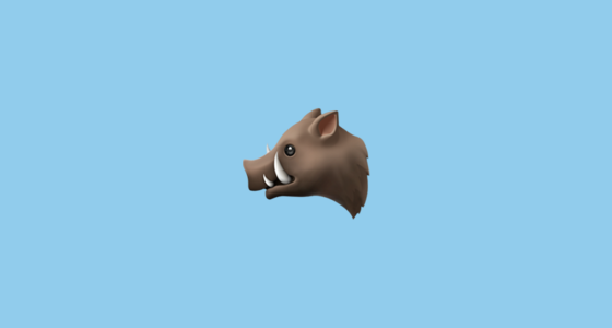 🐗 Boar Emoji on Apple iOS 14.2