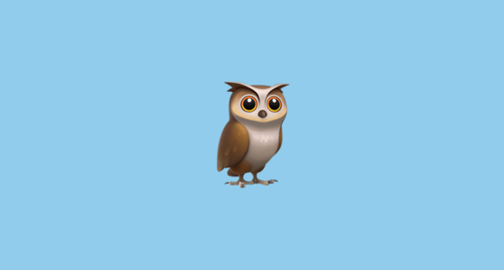 🦉 Owl Emoji on Apple iOS 14.2