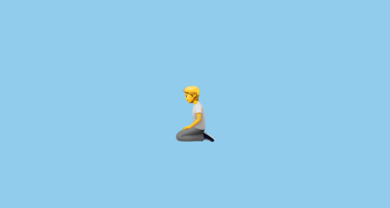 🧎 Person Kneeling Emoji on Apple iOS 14.2