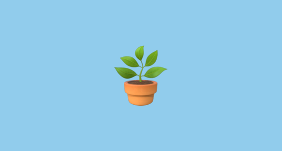 🪴 Potted Plant Emoji on Apple iOS 14.5