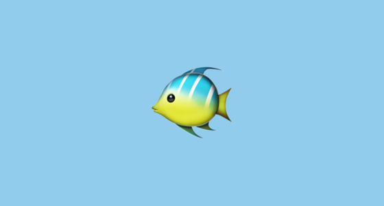 🐠 Tropical Fish Emoji on Apple iOS 14.6