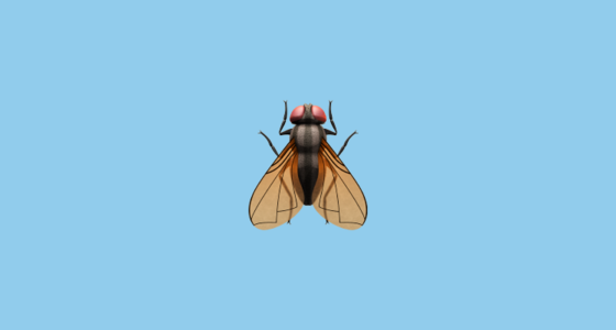 🪰 Mosca Emoji on Apple iOS 15.4
