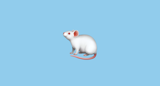 🐁 Muis Emoji on Apple iOS 15.4
