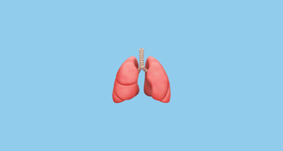 🫁 Lungs Emoji on Apple iOS 16.4