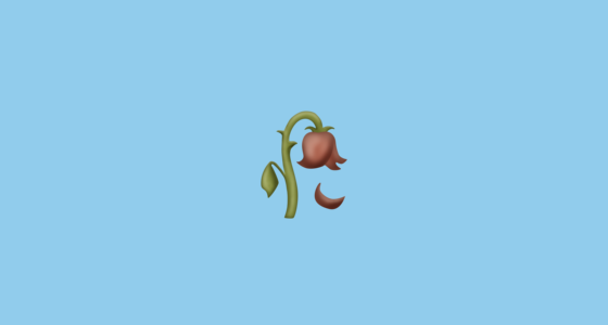 🥀 Vissnad Blomma Emoji on Emojipedia exempelbilder 11.1
