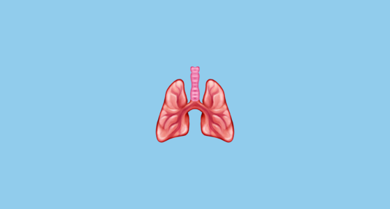 🫁 Lungs Emoji on Emojipedia Sample Images 13.0