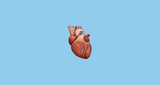 🫀 Anatomical Heart Emoji on Facebook 13.1