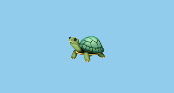 🐢 Tortuga Emoji on Facebook 13.0