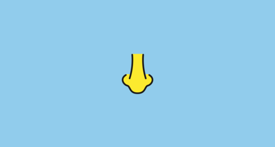 👃 Neus Emoji on OpenMoji 1.0