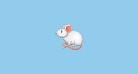 🐁 Mouse Emoji on Samsung One UI 5.0