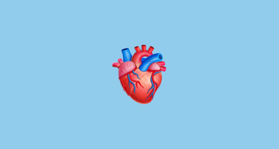 🫀 Anatomical Heart Emoji on Twitter Emoji Stickers 13.1