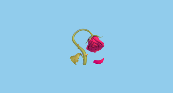 🥀 Vissen Blomst Emoji on Twitter Emoji Stickers 13.1