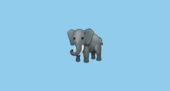 🐘 Elephant Emoji on WhatsApp 2.17