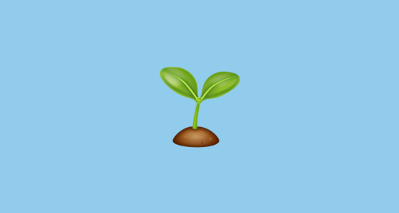 🌱 Seedling Emoji on WhatsApp 2.19.352