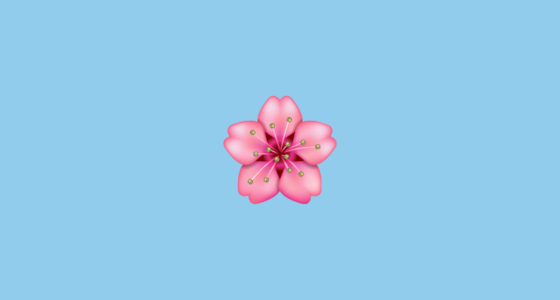 🌸 Flor De Cerezo Emoji on WhatsApp 2.21.16.20