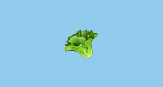 🥬 绿叶蔬菜 Emoji on WhatsApp 2.21.16.20