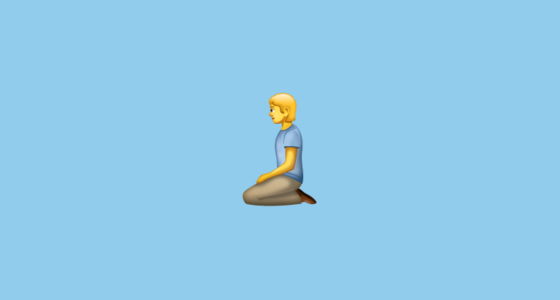 🧎 Person Kneeling Emoji on WhatsApp 2.21.16.20