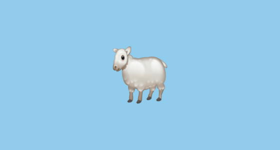 🐑 Ewe Emoji on WhatsApp 2.21.11.17