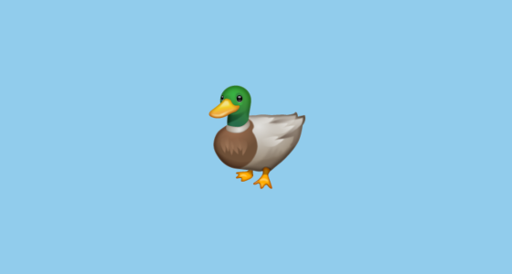 🦆 Pato Emoji on WhatsApp 2.21.23.23