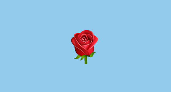 🌹 Roos Emoji on WhatsApp 2.22.8.79