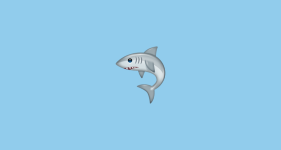 🦈 Shark Emoji on WhatsApp 2.22.8.79