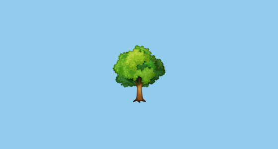🌳 Deciduous Tree Emoji on WhatsApp 2.23.2.72