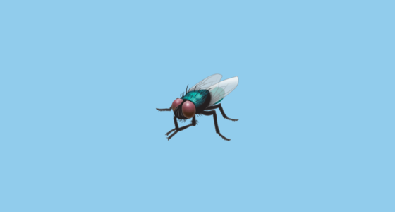 🪰 Mosca Emoji on WhatsApp 2.23.2.72