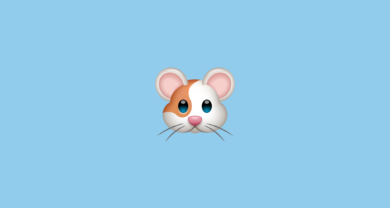 🐹 Hamster Emoji on WhatsApp 2.23.2.72