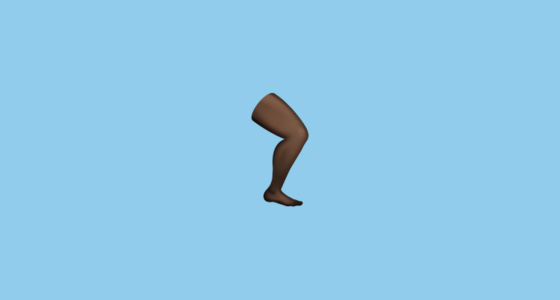 🦵🏿 Jambe: Peau Foncée Emoji on WhatsApp 2.23.2.72