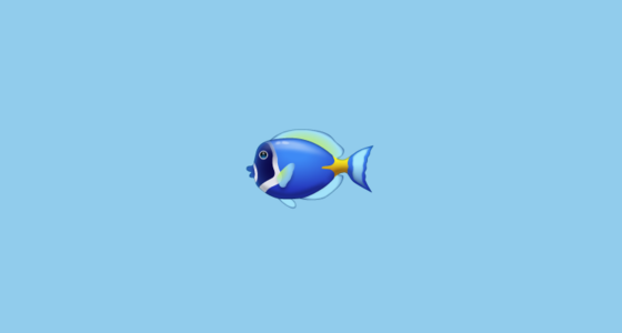 🐠 Pez Tropical Emoji on WhatsApp 2.23.2.72