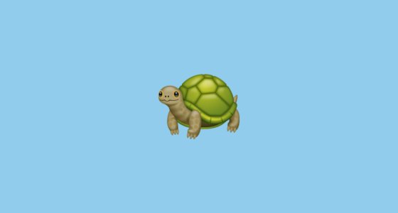 🐢 Tortuga Emoji on WhatsApp 2.23.2.72