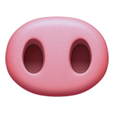 🐽 Pig Nose on Apple iOS 13.3