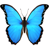 🦋 Butterfly on Apple iOS 14.5