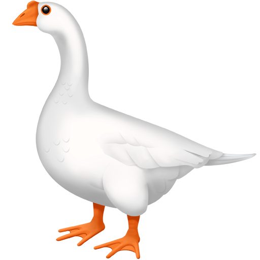 Goose on Facebook 16.0