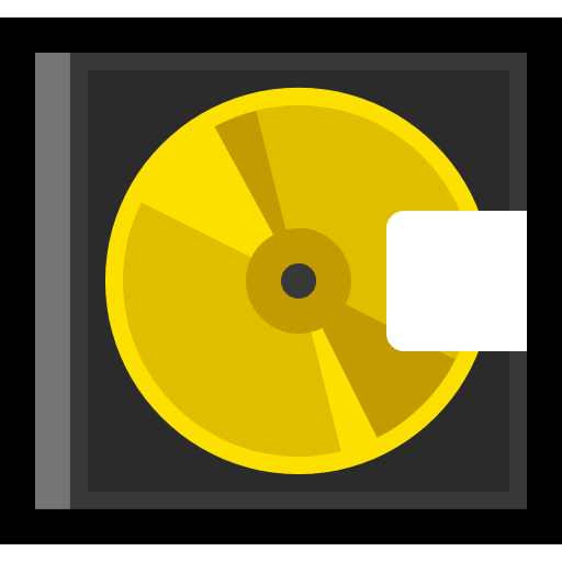 💽 Computer Disk on Microsoft Windows 11