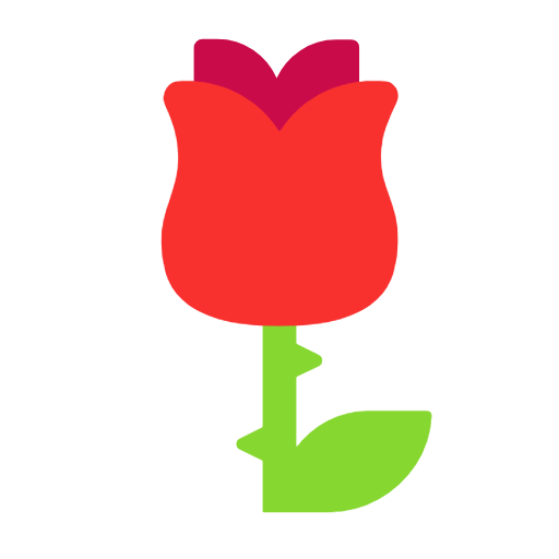 🌹 Rose on Microsoft Windows 11 23H2 June 2024 Update