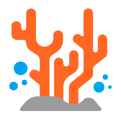 🪸 Coral on Microsoft Windows 11 24H2 August 2025 Update