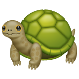 🐢 Tortuga en WhatsApp 2.25.1.75