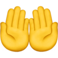 🤲 Palms Up Together Emoji