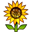 🌻 Sunflower Emoji