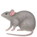 🐀 Rat Emoji