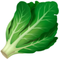🥬 Leafy Green Emoji