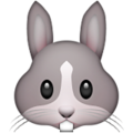 🐰 Rabbit Face Emoji