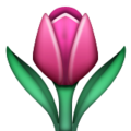 🌷 Tulip Emoji