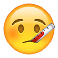 🤒 Face with Thermometer Emoji