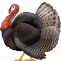 🦃 Turkey Emoji