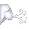 🌬️ Wind Blowing Face Emoji